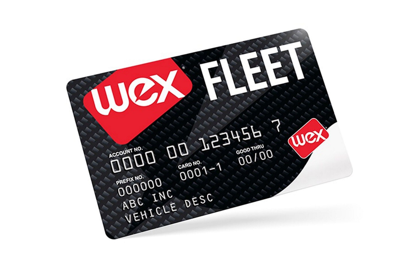 2023 Ford E-Series Cutaway | 3 Cutaway Options, Pricing, Photos & More