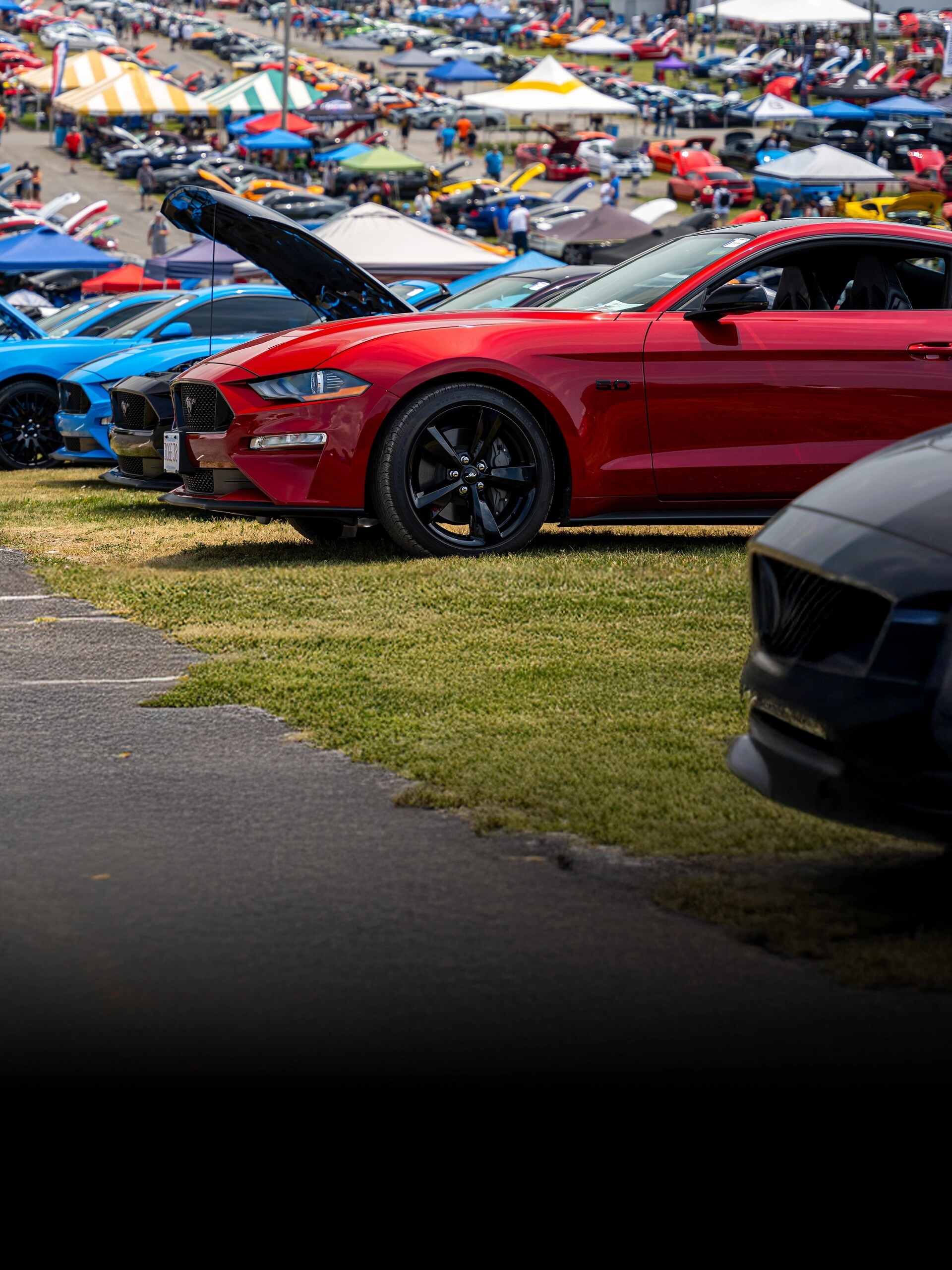 High Performance Vehicles - Ford