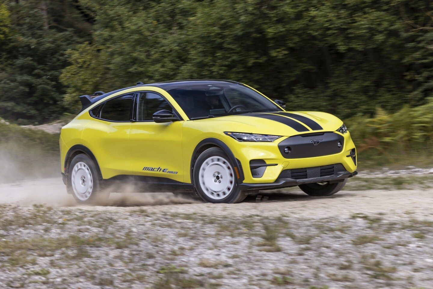 Experience the Power of the Ford Mustang Mach E
